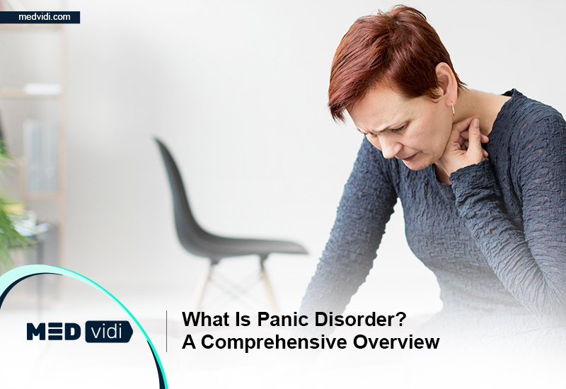 What Is Panic Disorder? A Comprehensive Overview |- MEDvidi